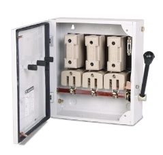 Havells TPN Rewirable Main Switch