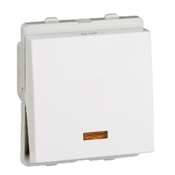 Schneider Livia DP Switch 32A With Indicator