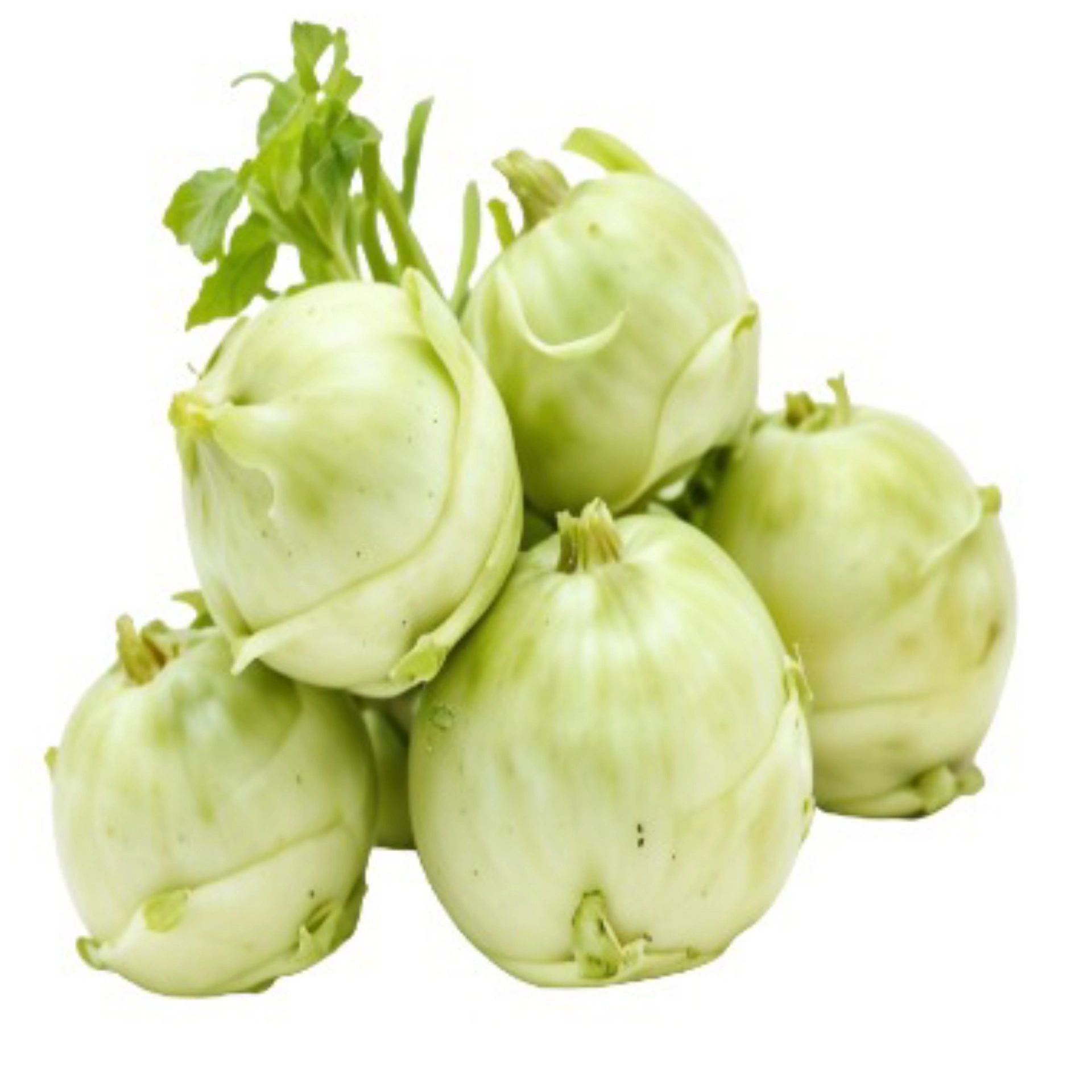 Knol Knol ( 250 Gm)