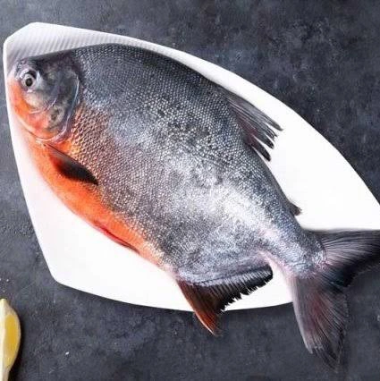 Fish - Parai