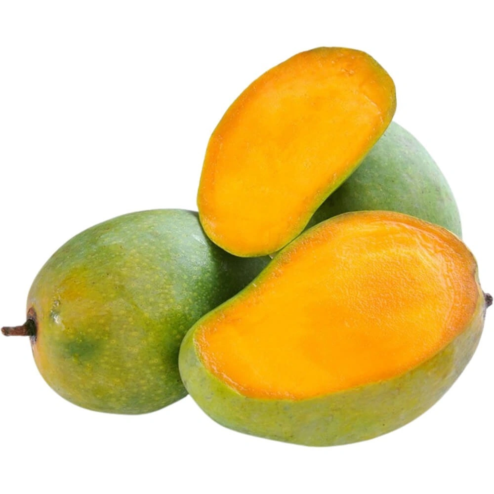 Mango Egypt|مانجو مصر